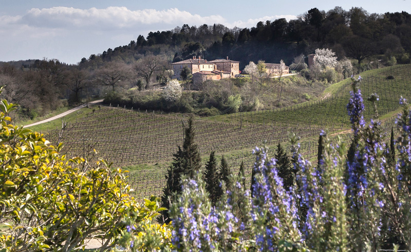 Trequanda | Terre del Fondo